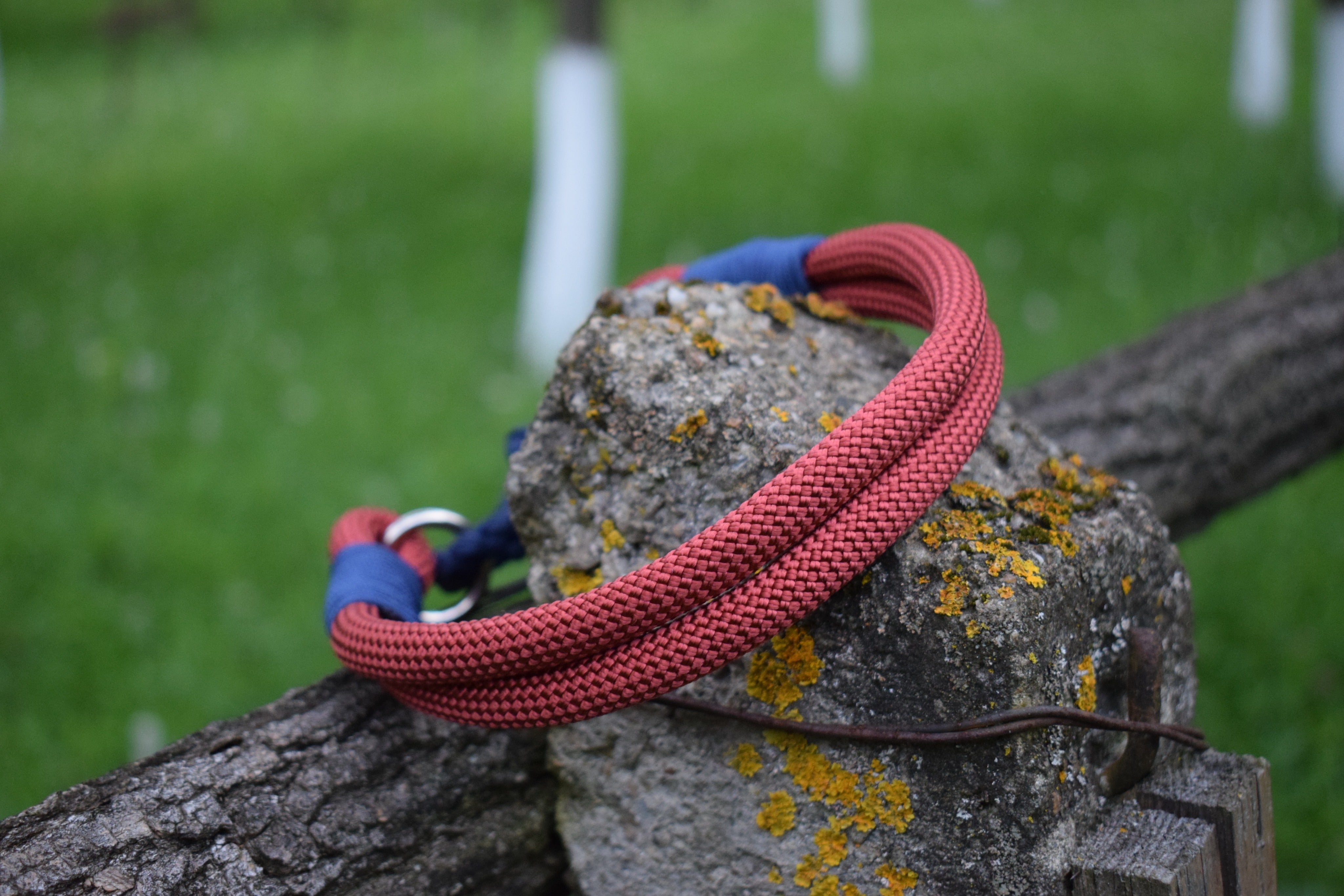 Cord Dog Collars – Paracord for Pets Store