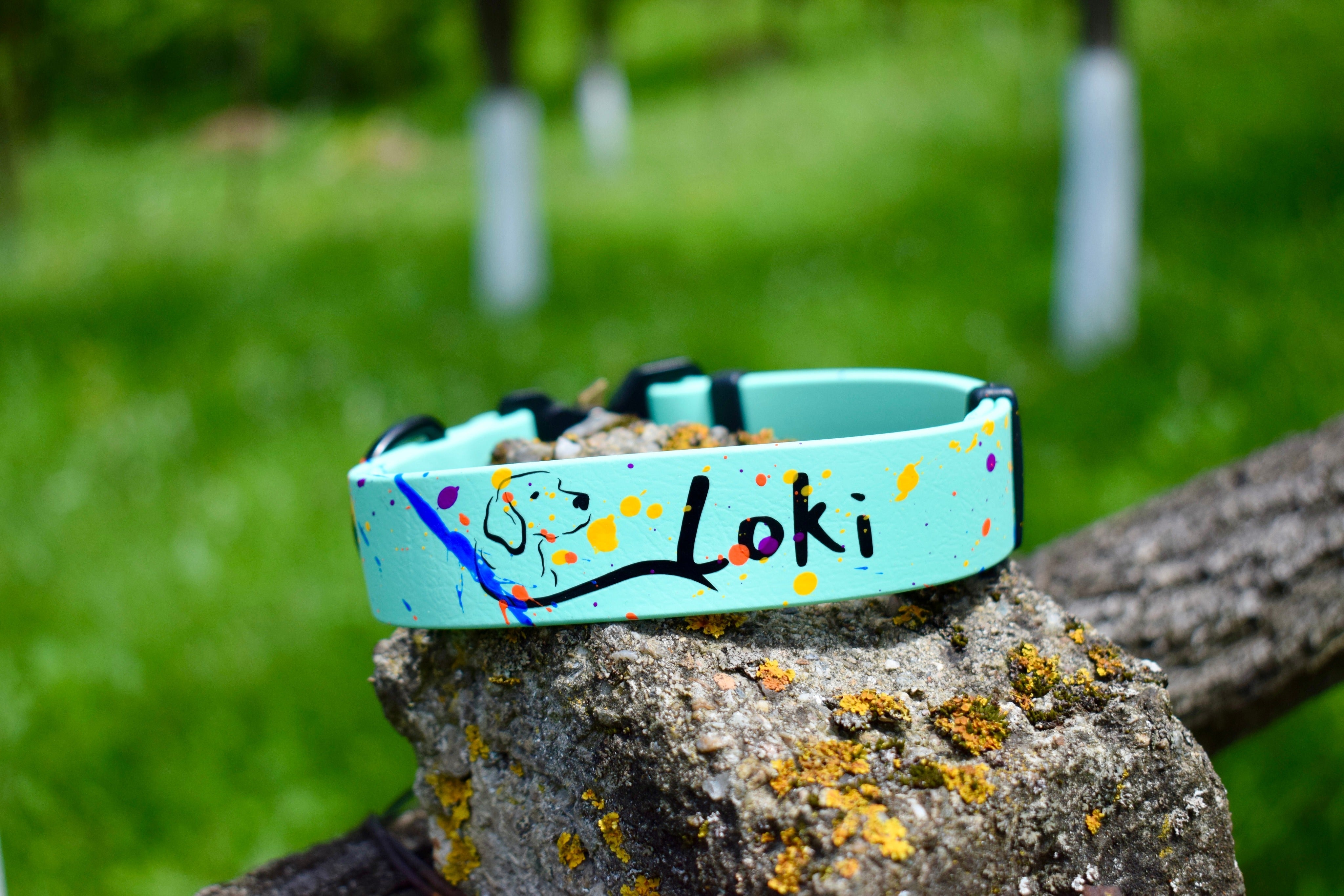 Biothane Collars – Paracord for Pets Store