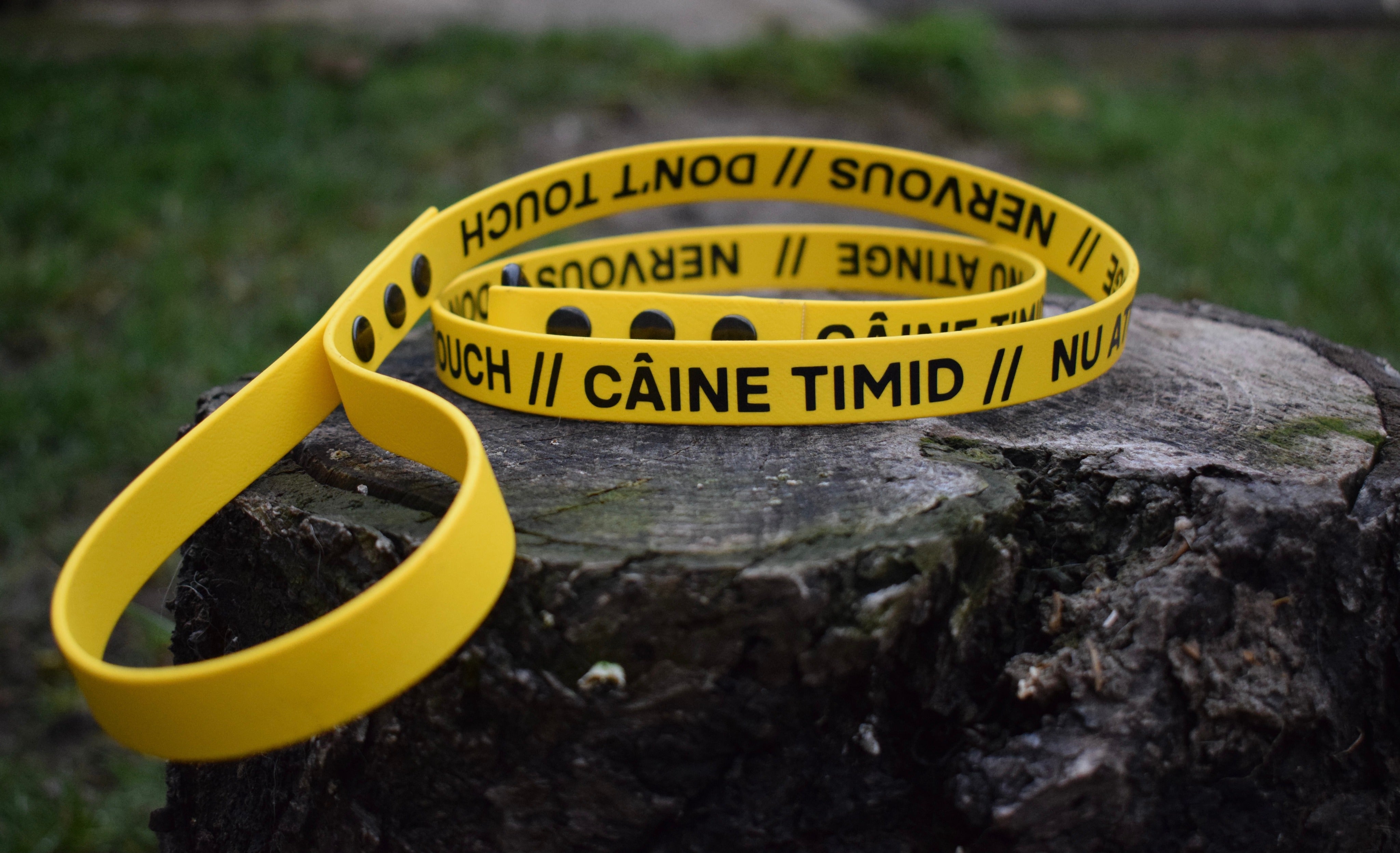 Bio Dog Leash | Handmade Accessories | Paracord for Pets – Paracord for ...