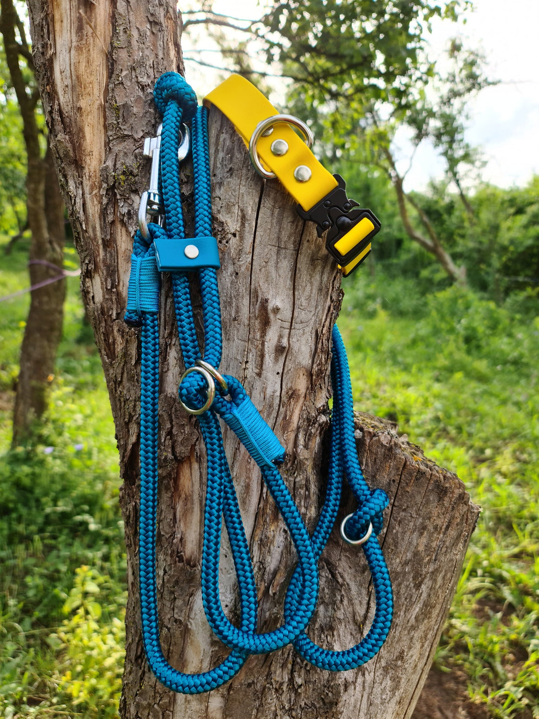 Aqua Dog Loop Leash | Handmade Accessories | Paracord for Pets ...