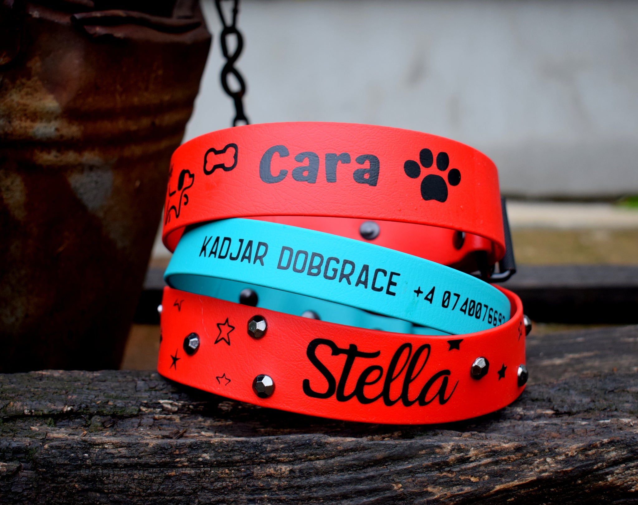 Big Dog Bio Collar – Paracord for Pets Store